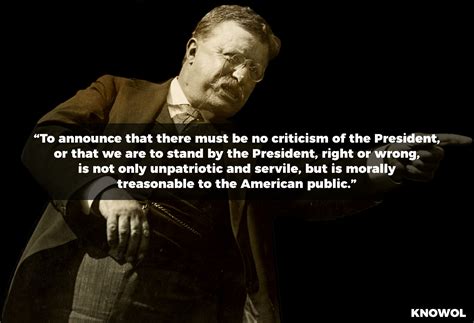 Teddy Roosevelt Quotes
