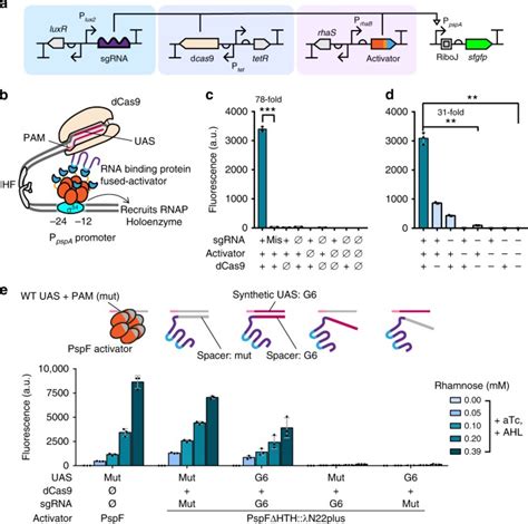 Baojun Wang On Linkedin Engineered Crispra Enables Programmable Eukaryote Like Gene Activation In