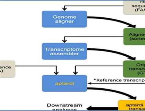 Stringtie Improved Reconstruction Of A Transcriptome From Rna Seq Reads Rna Seq Blog