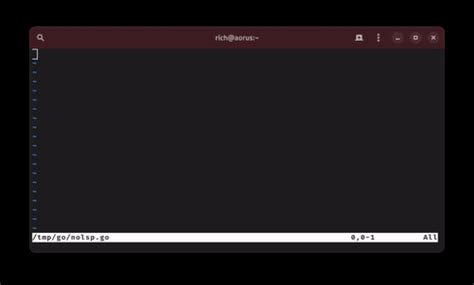 Language Server Protocol LSP