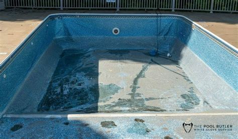 Fiberglass Vs Vinyl Liner Vs Concrete Pool An Unbiased Review