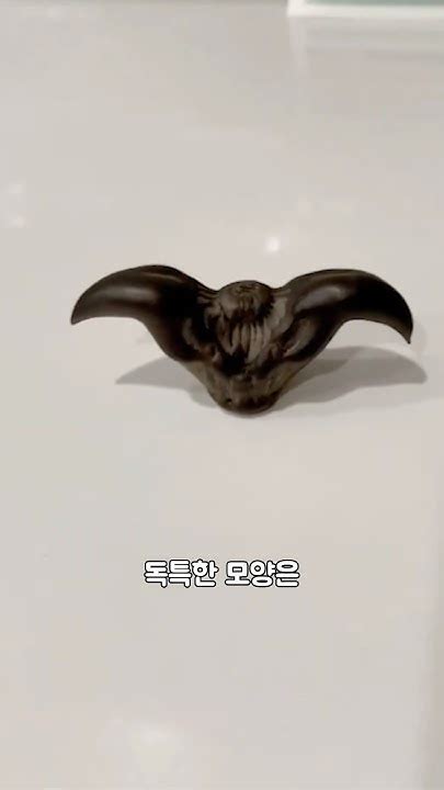 아기박쥐 Youtube