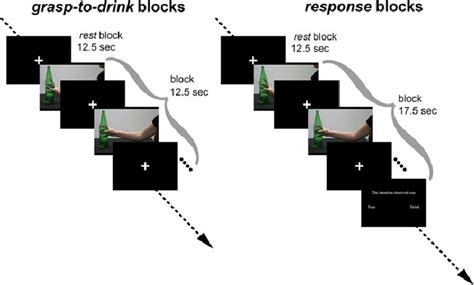 Fmri Experimental Design For Intention Discrimination Session The Download Scientific Diagram