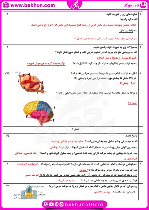 نمونه سوال نوبت اول زیست یازدهم بخون ️