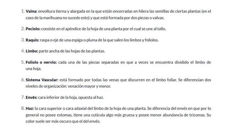 Hojas De Marihuana Tipos Funciones Usos Semillaslowcost