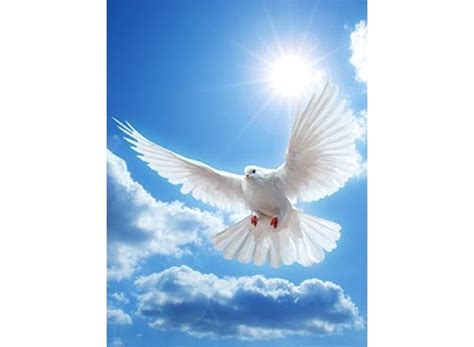 Mark Whatley Obituary 2025 Jacksonville Fl Eternity Funeral Homes And Crematory Jacksonville