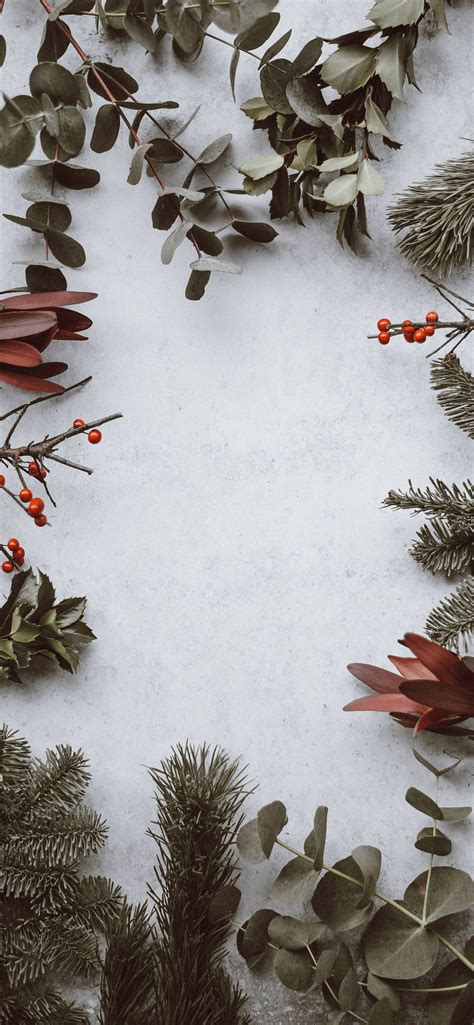 Download Cute Winter Iphone Wallpaper