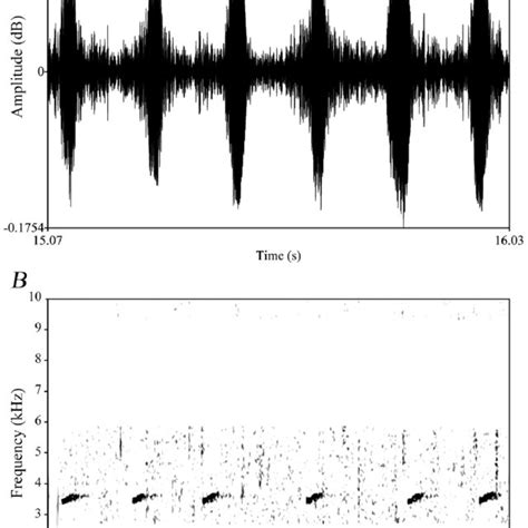 A Waveform And B Spectrogram Of A 1 Second Sequence Of The Call Of
