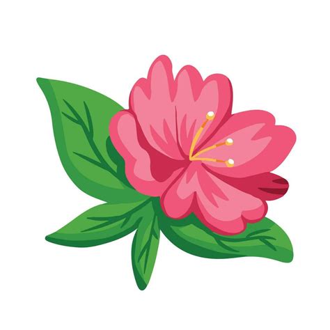 Pink Flower With Green Leaves Vector Illustration Isolated On White