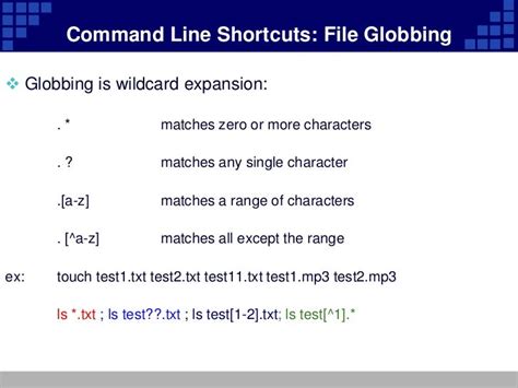 Unit 6 Bash Shell