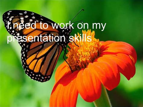 Srikari I Suck At Ppt Pptx