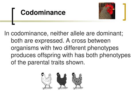 PPT Incomplete Dominance Codominance PowerPoint Presentation ID