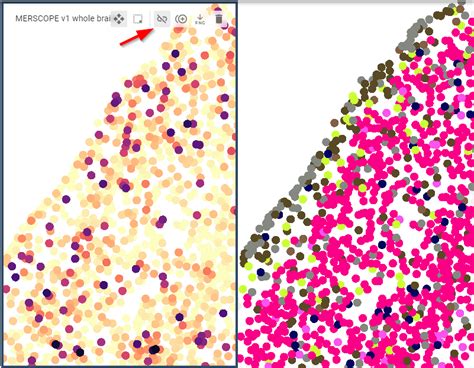 Abc Atlas User Guide Visualization Frames Allen Brain Cell Abc