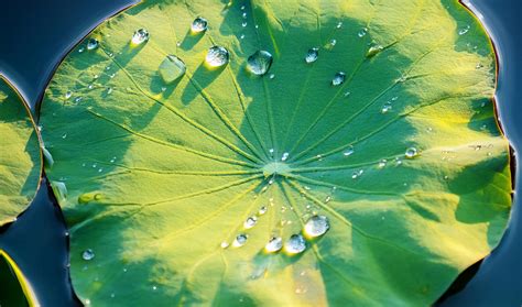 Superhydrophobic Coatings In Industry