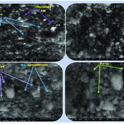 Sem Micrographs Of The Geopolymer Based On Metakaolin Incorporated With Download Scientific