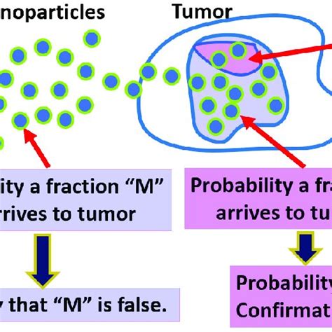 Sketch For The Probabilistic Interpretation Of Equation 42 By Which