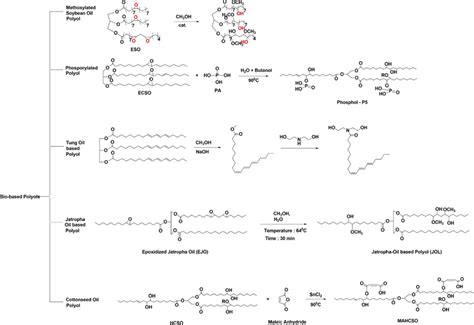 Synthesis Processes Of Various Bio Based Polyols Download Scientific Diagram