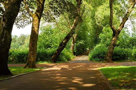 Meet The Team — Pollokshields Heritage