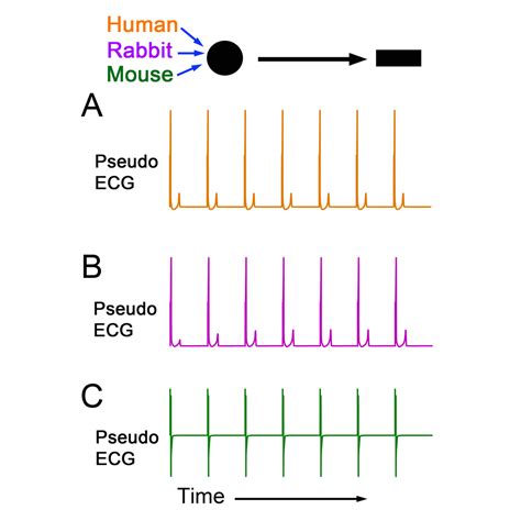 A Demonstration Of Modularity Reuse Reproducibility Portability And