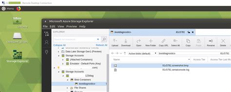 how to run azure storage explorer on linux
