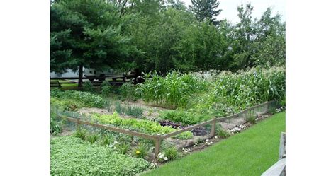 Обеззаразяване на почвата Български Фермер