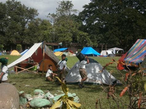 Business Matters Anything That Involves Around It Scouting Activities