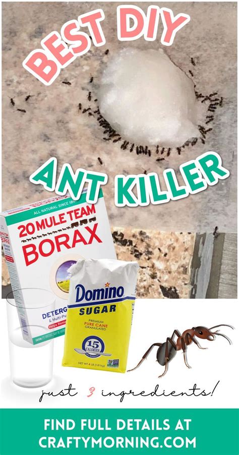 3 Ingredient Ant Killer Recipe Ant Killer Recipe Ant Killer Ant