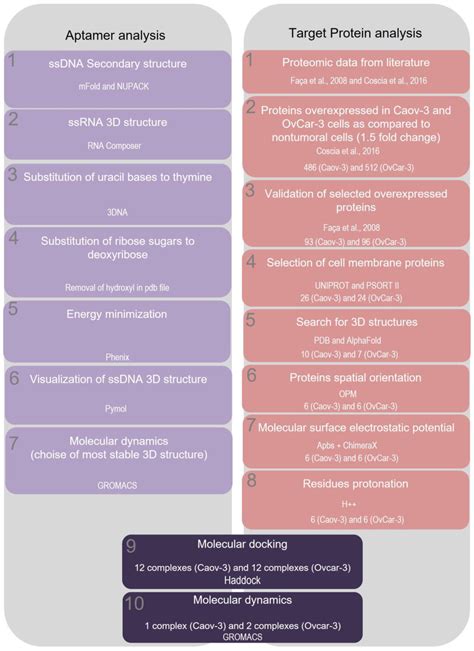 Next Generation Of Ovarian Cancer Detection Using Aptamers