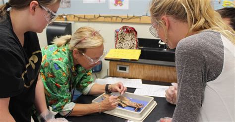 Problems Female Stem Students Face