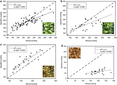plots of manual counting versus algorithm counting at different growth