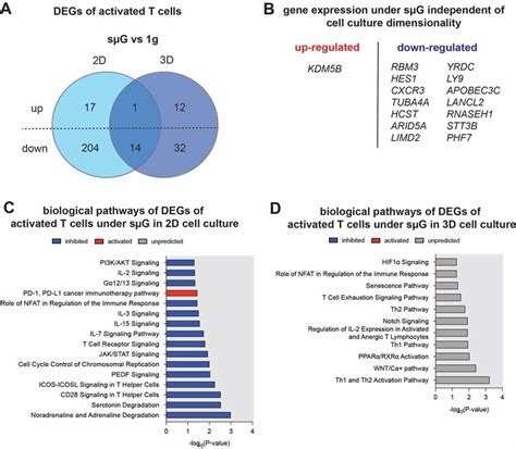 Transcriptome Analysis RNA Sequencing Of Activated T Cells Using RNA Download Scientific