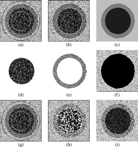 Image With Different Noise Models A Initialization B Final Download Scientific Diagram