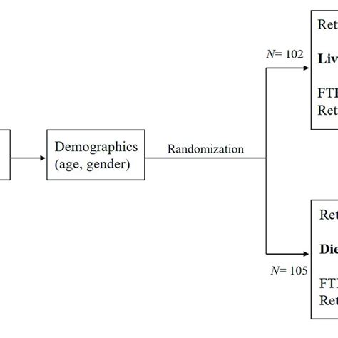 Participant Flow Through Online Survey Protocol Sle Subjective Life