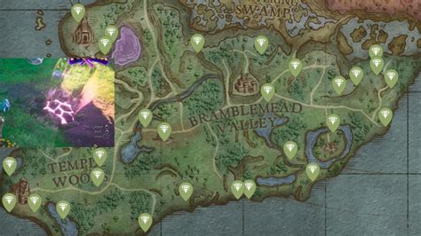 Blightwood Farming Guide For Runescape Dragonwilds Backdash
