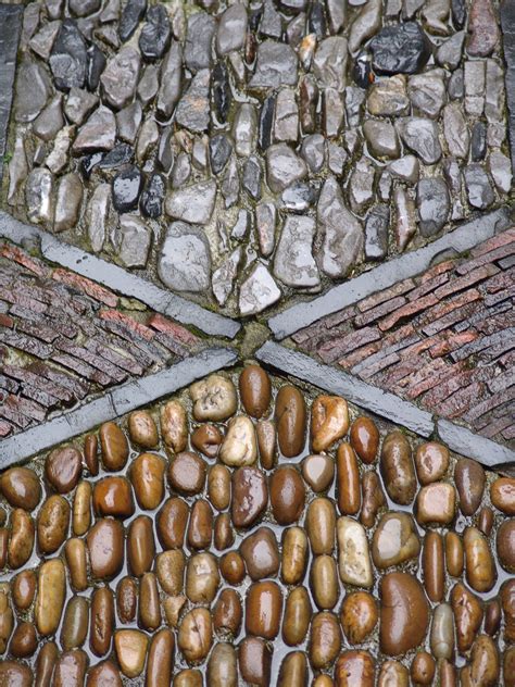 Rock Cod Mccarthys Party