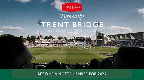 Nccc News Dane Schadendorf A Wicketkeepers Life