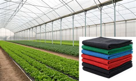 What Is The Use Of Colored Shade Netting In Horticulture