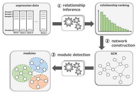 a framework for inferring pairwise relationships from gene expression