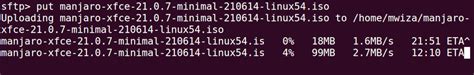 How To Securely Transfer Files On Linux With Sftp