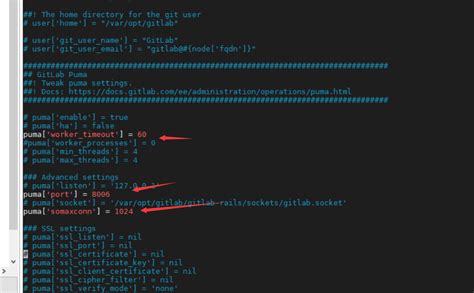 Whoops Gitlab Is Taking Too Much Time To Respond问题解决 阿里云开发者社区