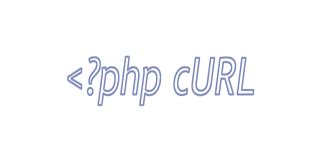 How To Fix Php Curl Error Easy Way Technowalkers