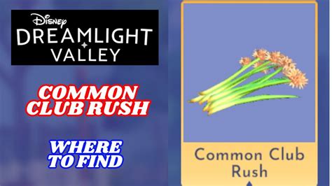 Common Club Rush Where To Find Disney Dreamlight Valley Youtube