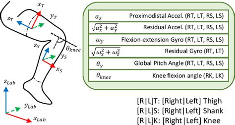 Figure From IMU Based Real Time Estimation Of Gait Phase Using Multi Resolution Neural
