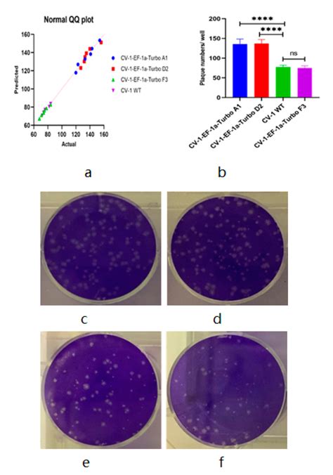 Statistical Comparison Of Viral Plaque Counting Using Different Cv 1 Download Scientific