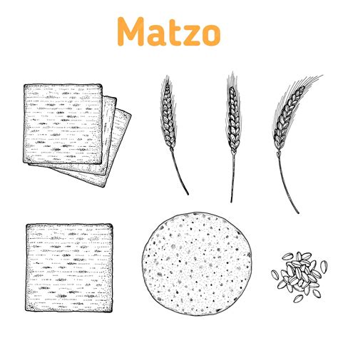 Premium Vector Matzo Cooking And Ingredients For Matzo Illustration