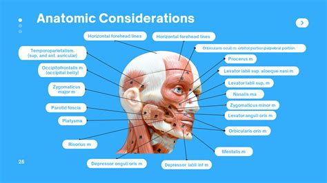 Powerpoint Presentation Botox Course Presentation On Behance