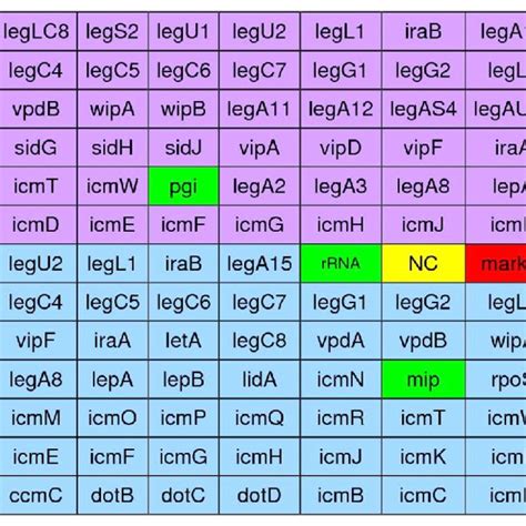 Layout Of Oligonucleotide Probes On The Microarray Each Spot Is Download Scientific Diagram
