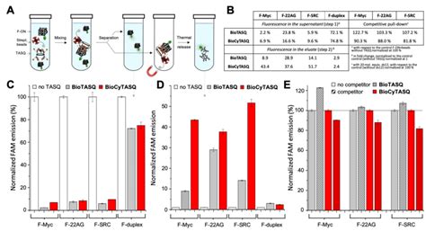 A Schematic Representation A And Results B Of The In Vitro G4