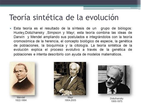 Teoría Sintética Fecha De Publicación Ddvlne