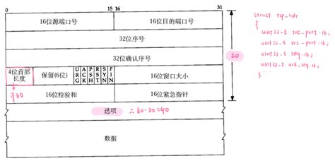 [linux 62][tcp] 首位长度：封装与分用 序号：可靠性原理 滑动窗口：流量控制 tcp协议头 csdn博客